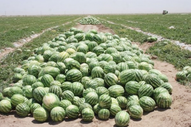 Doing Business in Afghanistan & Neighboring Countries - IvoTONIUT ...