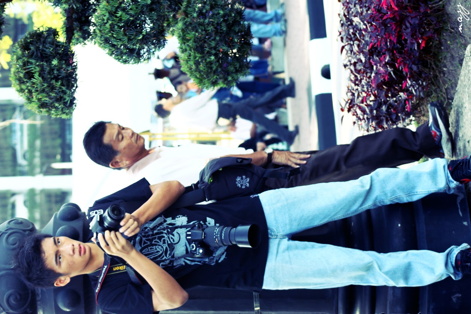 The Not So Amateur Photographer: how to rotate this :S