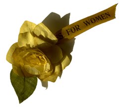 DeVoe Mansion Blog: Suffrage "War of the Roses"