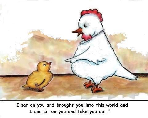 Midwest Country Living: Chicken Humor!