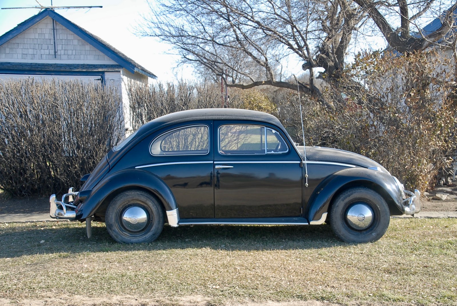 autoliterate: 1960 Volkswagen Beetle