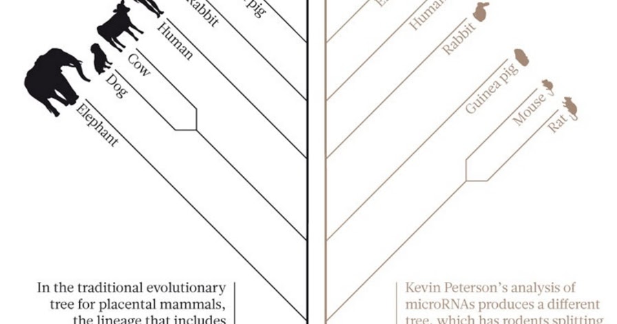 Modern Science refutes the Evolutionary theory: Three different ... Modern Science refutes the Evolutionary theory: Three different ...