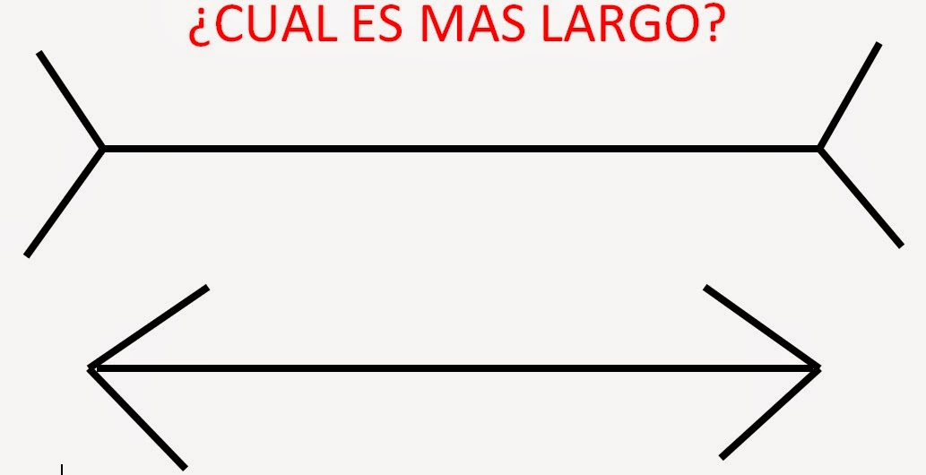 FUNCIONES COGNITIVAS DEL SER HUMANO: ¿CUAL DE LAS DOS LINEAS ES MAS LARGA?