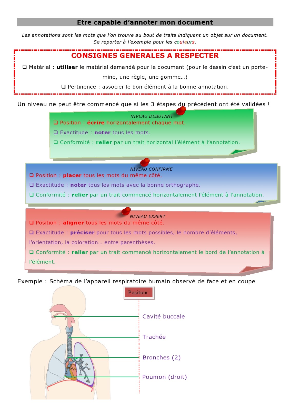 I LOVE SVT: fiches méthode