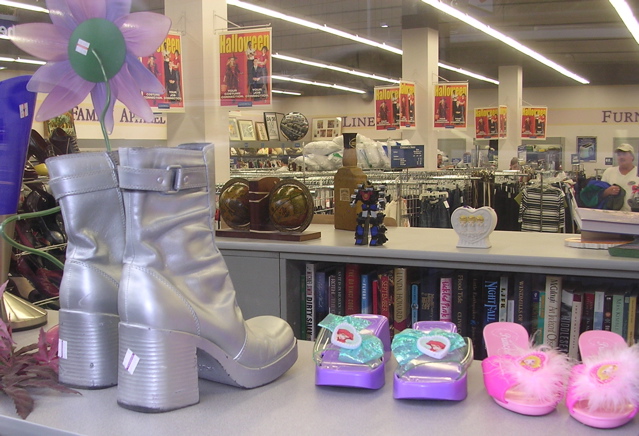 Damnit: Gotta Love Goodwill