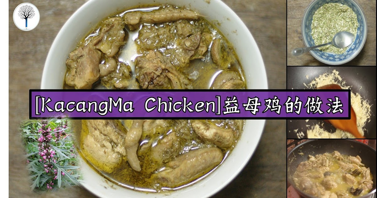 [KacangMa Chicken] 益母鸡的做法 - Leesharing