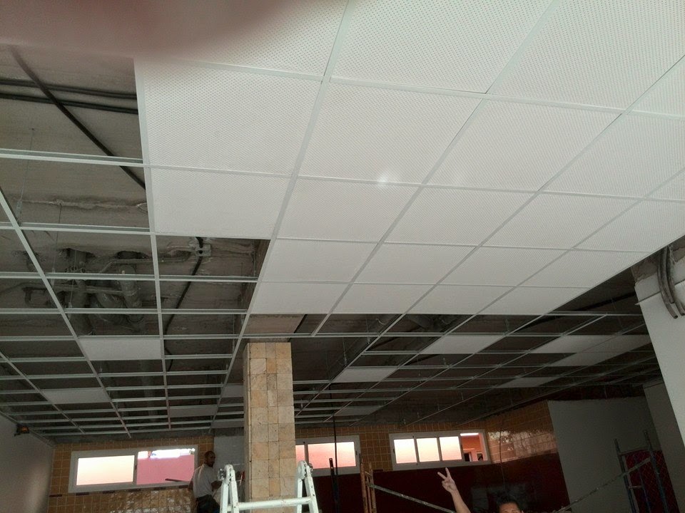 MARDEL Plac SISTEMAS CONSTRUCTIVOS EN SECO: Falso Techo Registrable ...