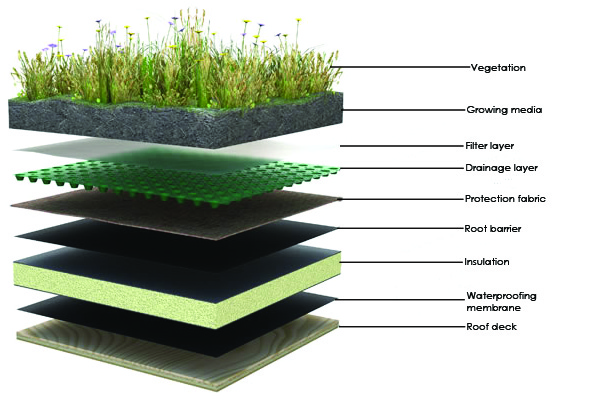 Sustainable Construction, The Journey to the Near Future: Green Roof ...