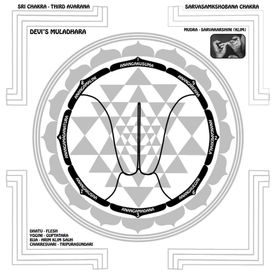 Amritananda Natha Saraswati: Meaning and symbolism of Nava Avarana of ...
