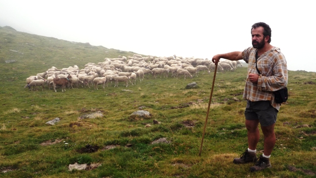 " Les Cadets de Bigorre ": Le métier de Berger