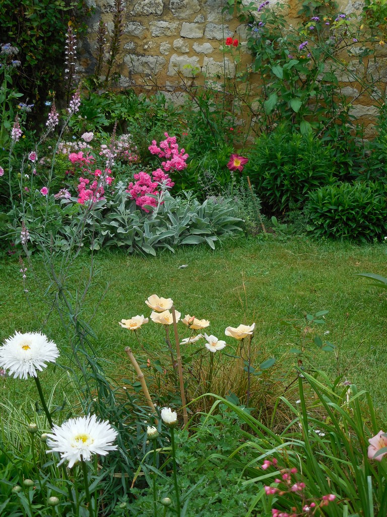 Cagouille's Garden : Juste quelques photos du jardin