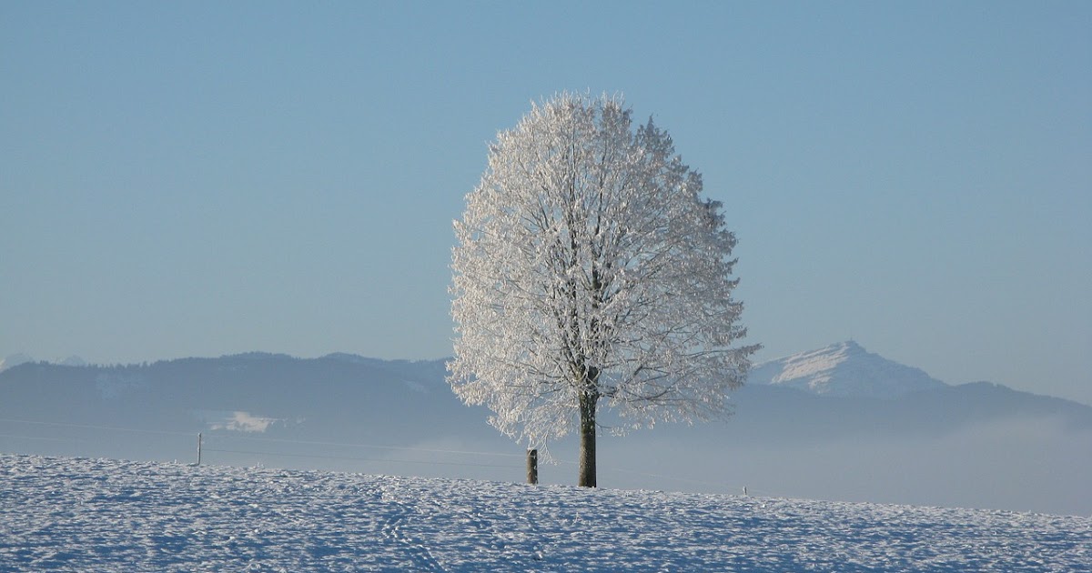 Washed As White As Snow | William Severt