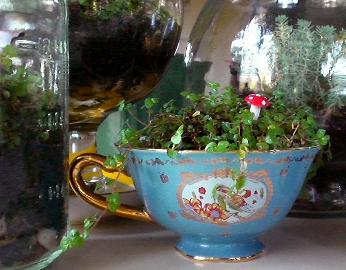 Teacup Inspired Designs and Products ~ Amazing Story's