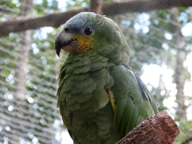 CASCADAS DEL FIN DEL MUNDO MOCOA PUTUMAYO - PARQUE DE LOS CHURUMBELOS ...