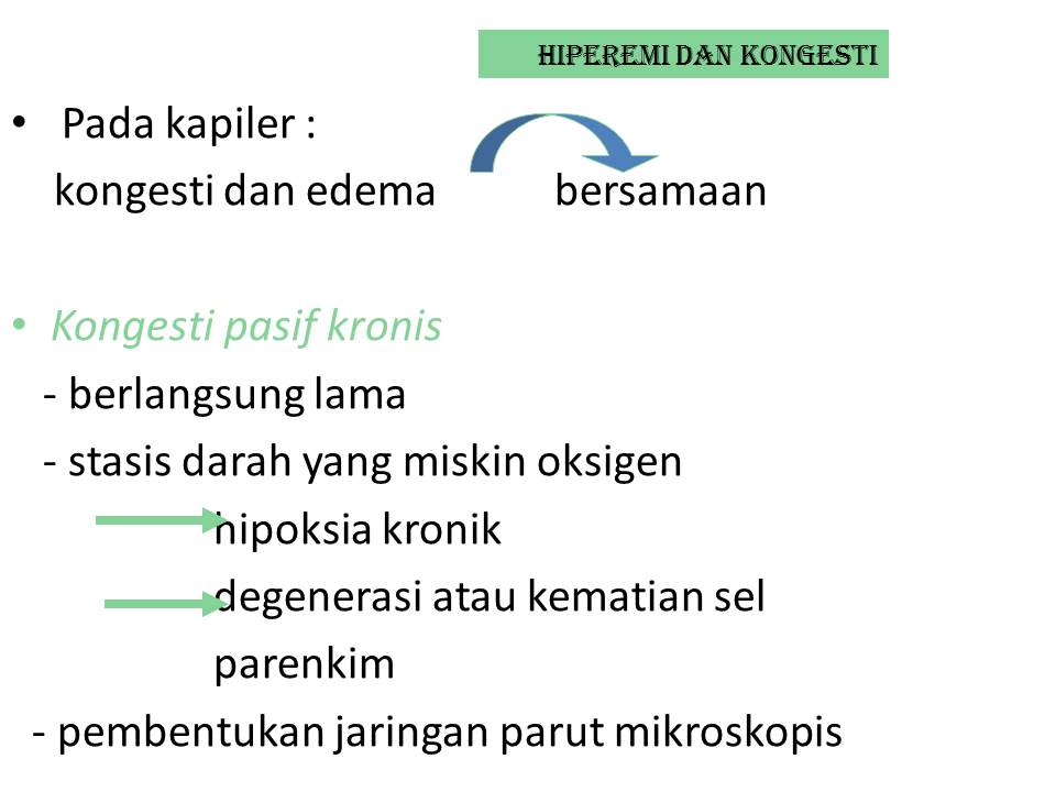 Reza Aditya Digambiro: HIPEREMIA DAN KONGESTI