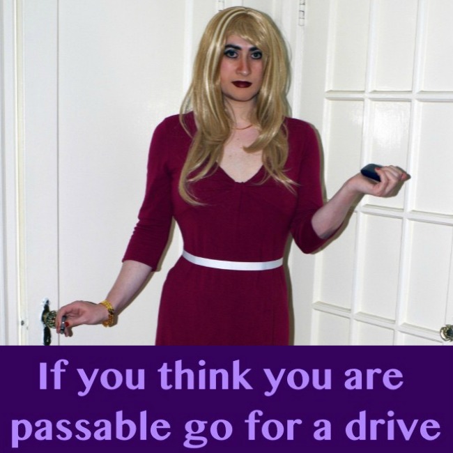TG Captions and more: Being passable Sissy TG Caption