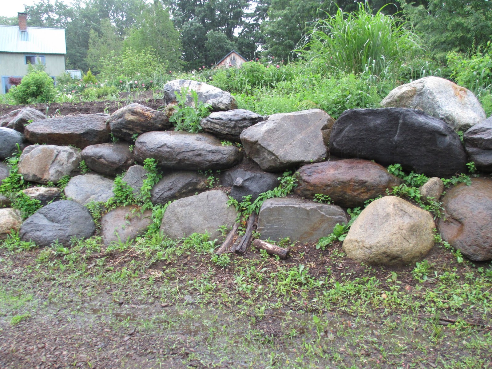 The View From Wilder Hill: Planting the Rock Wall