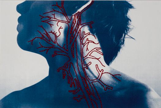 Imogen Lawrence Photography: Patrick Hickley