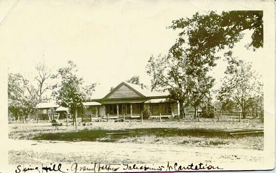 Between the Gate Posts: Left the Plantation to Join Federal Army