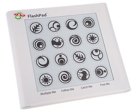 The Playful Otter: FlashPad 1