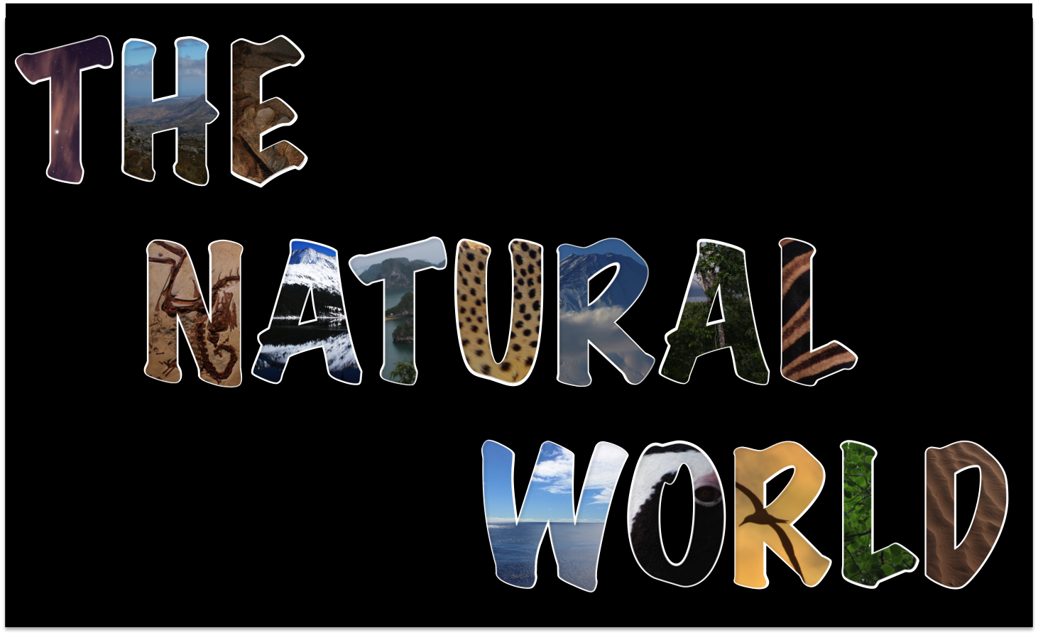 The Natural World