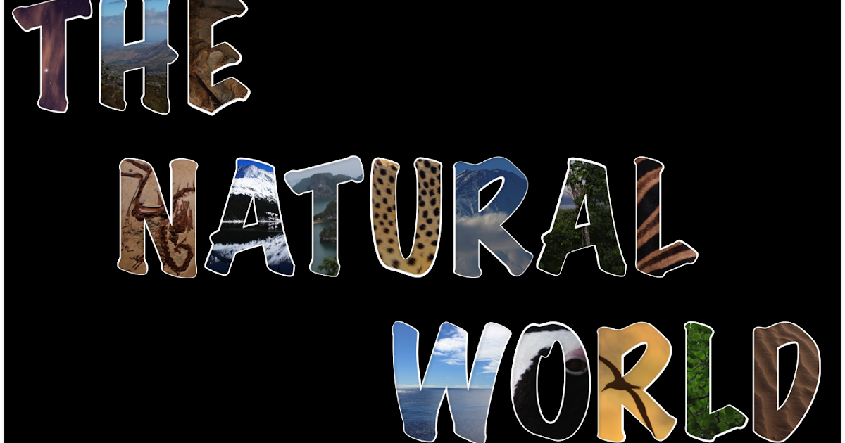 The Natural World: The Natural World Has Moved!