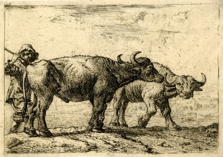 Spencer Alley: Pieter van Laer, Il Bamboccio