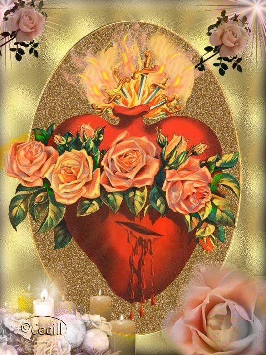 IMAGENES RELIGIOSAS: Inmaculado corazón de María