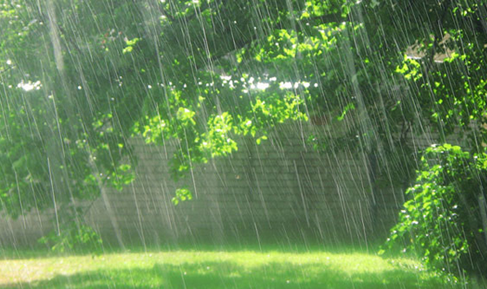 Scenario of Life: Monsoon, Rains and Enjoyment...