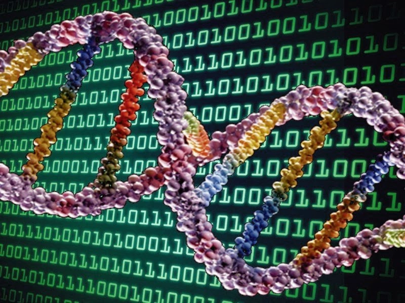 La Ciencia también es cultura: Código para los ordenadores de ADN ...