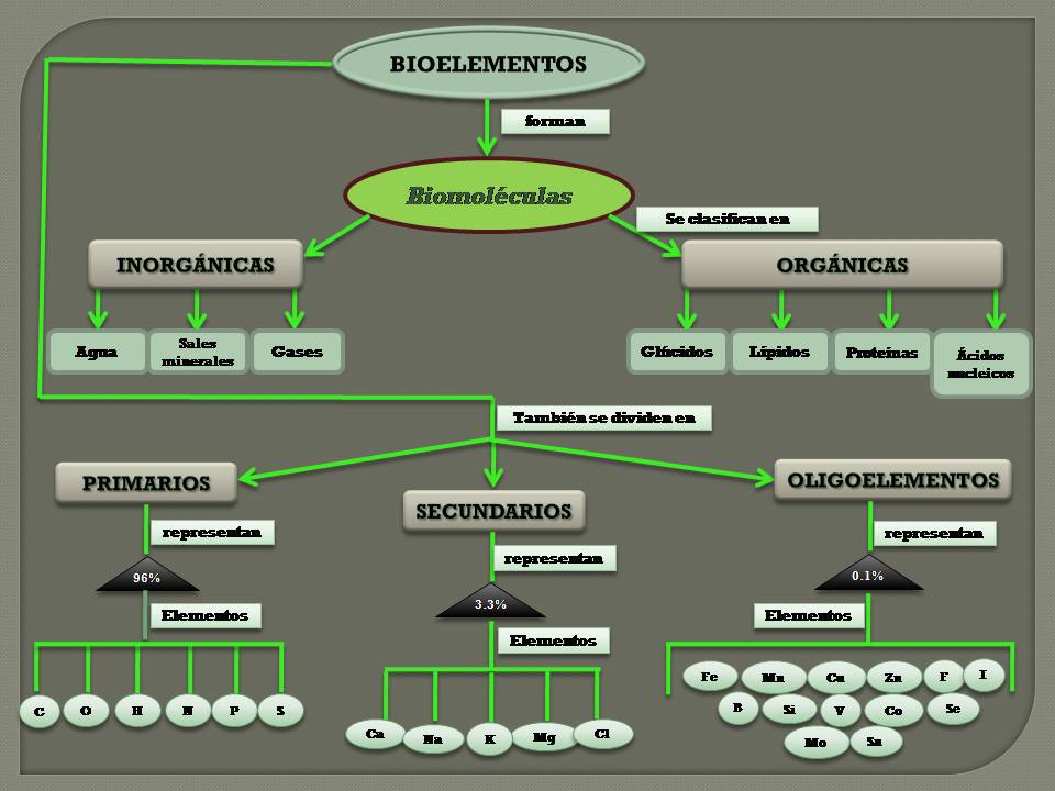 "TODOFACIL" : MAPA DE LOS BIOELEMENTOS