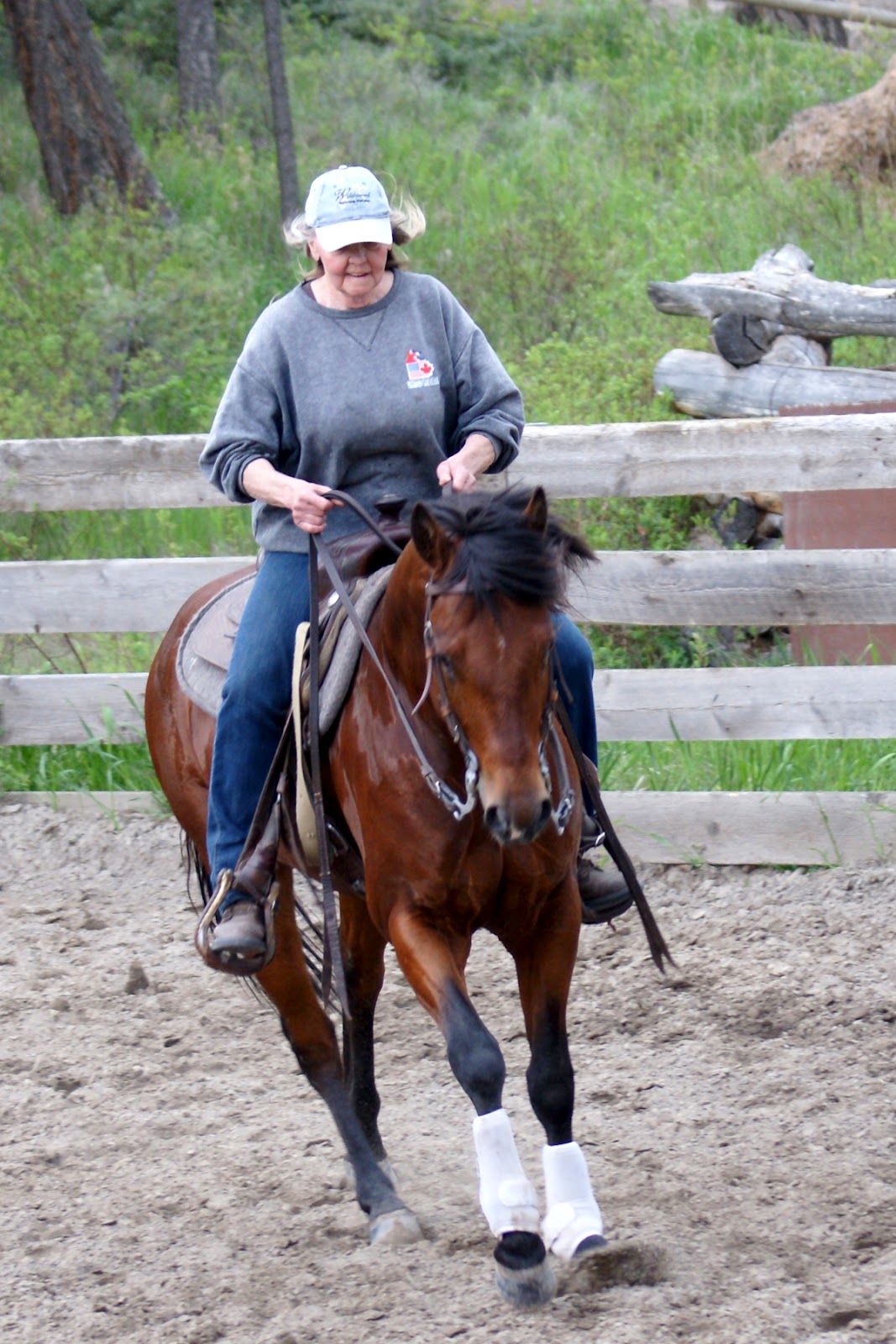 Reining Training Tips ~ ~: Finding the Postion of Comfort: Exercise Three