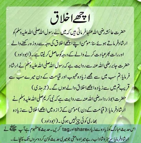 KHAWAJA UMER FAROOQ May 12, 2013