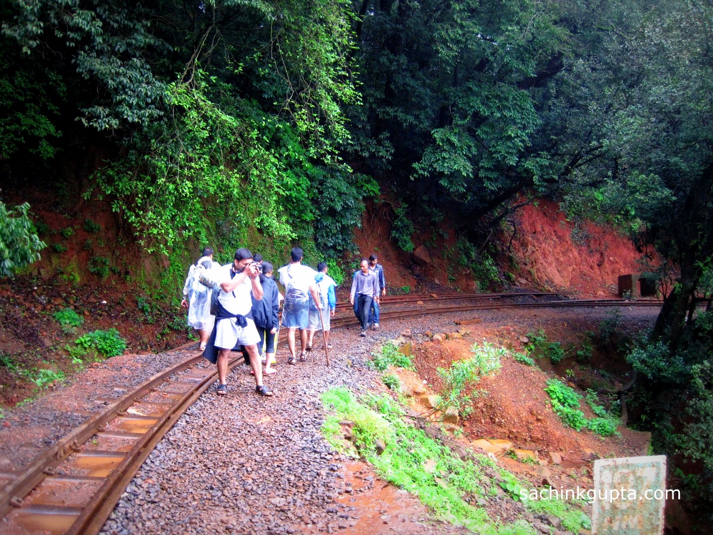Jungle on Top - Matheran - Part1 ~ LENS (Like, Enjoy, Navigate, Share)