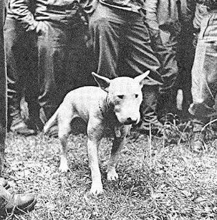 War God Patton: General Patton and His Dog Willie