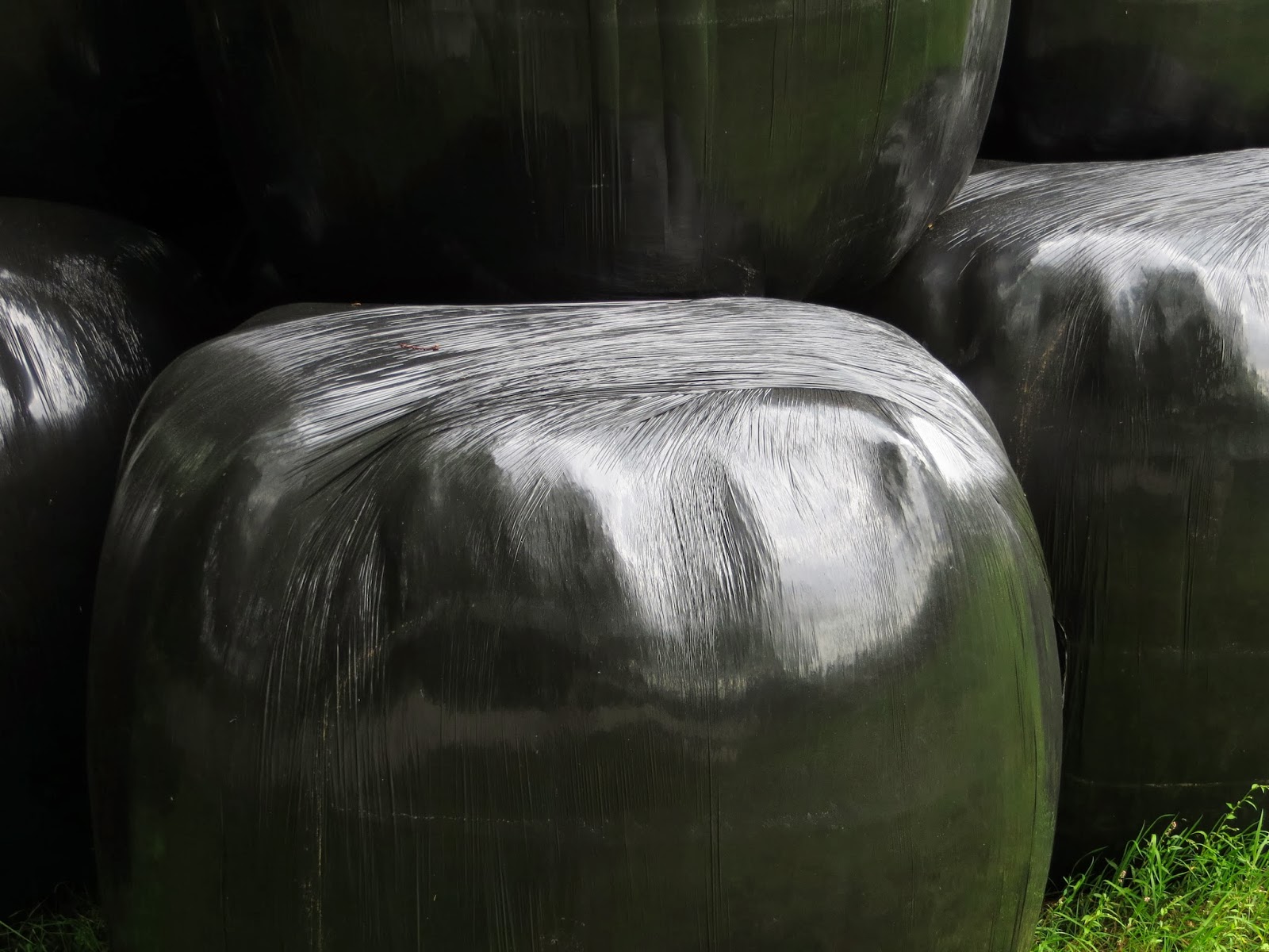 Graafwerk, kunst en bijzonderheden : Kuilgras in hoogglans