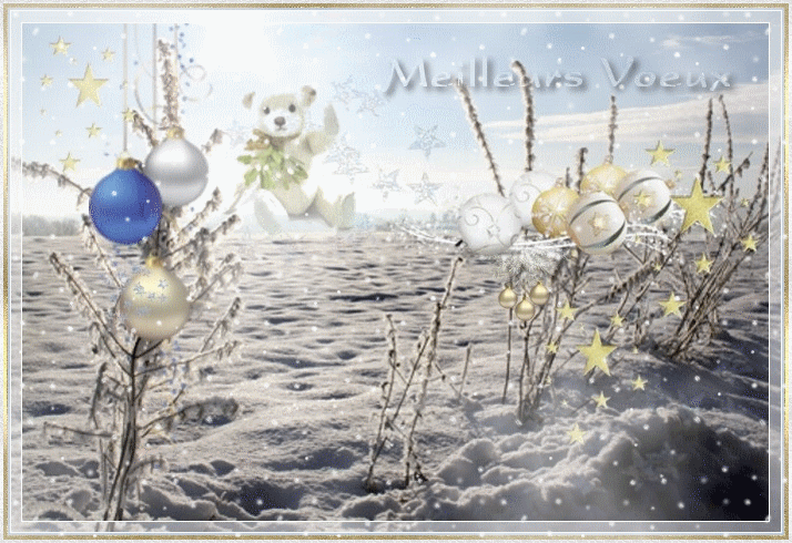 Rêves de galets au souffle du vent: MERVEILLEUX VOEUX (pour VOUS mon ...