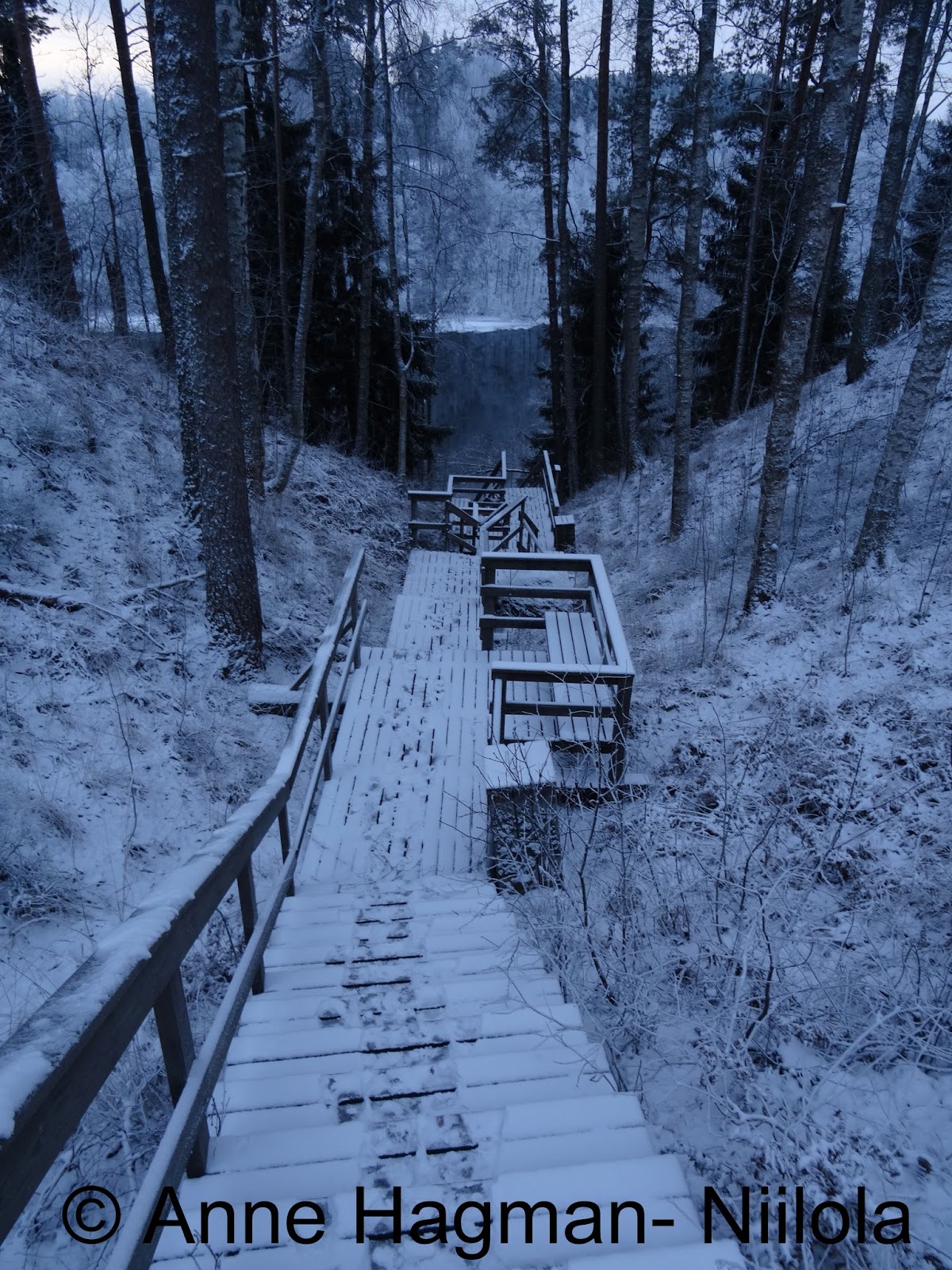 ANNEN LUONTOPÄIVÄKIRJA nature diary: RAPPUSET stairs