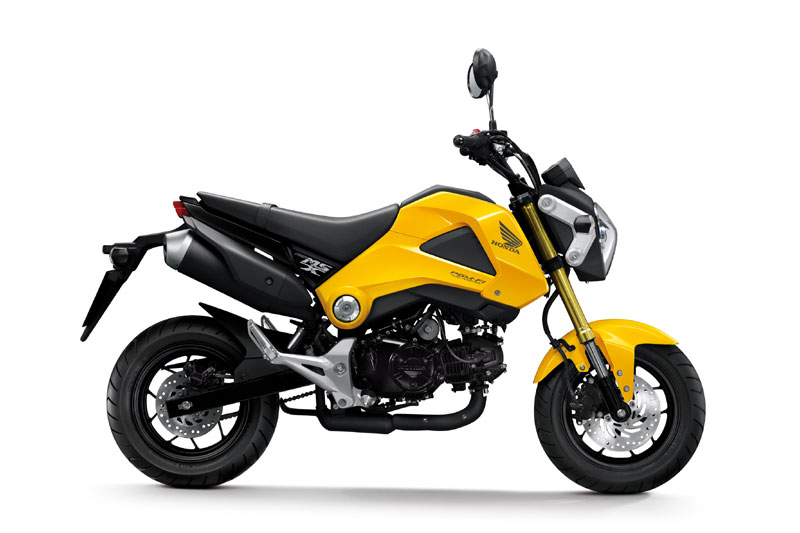 HONDA MSX125 GALLERY - The New Autocar