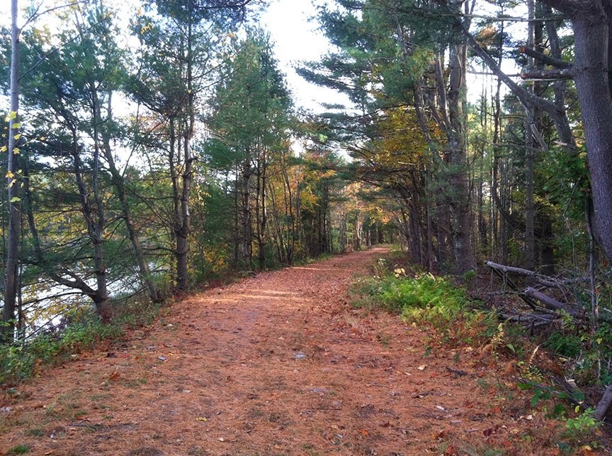 New England Mountain Bike Association, Central CT Chapter: Naugatuck ...