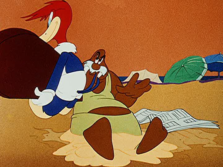 Tralfaz: The Beach Nut