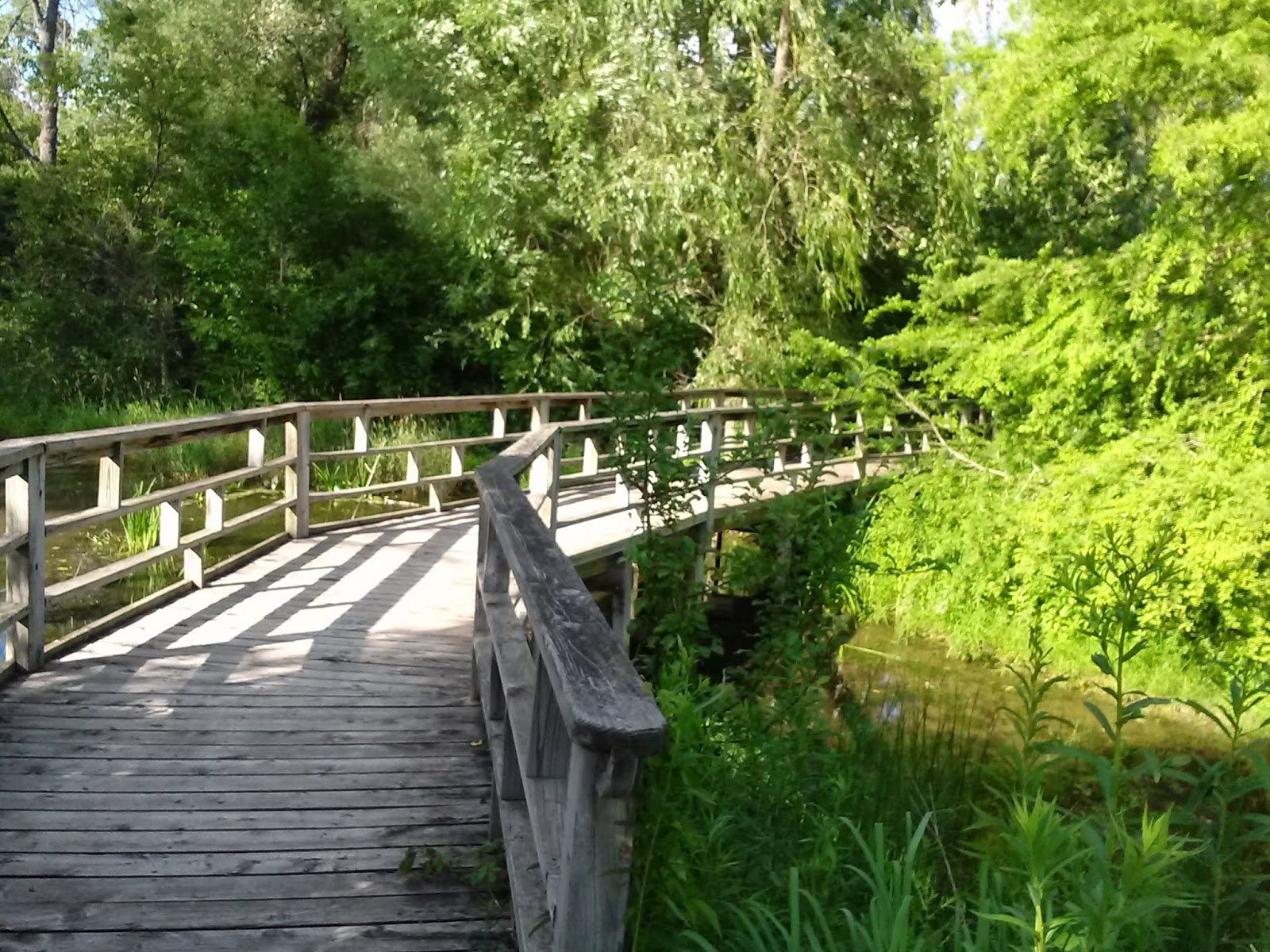 Debonair David: Matthaei Botanical Gardens