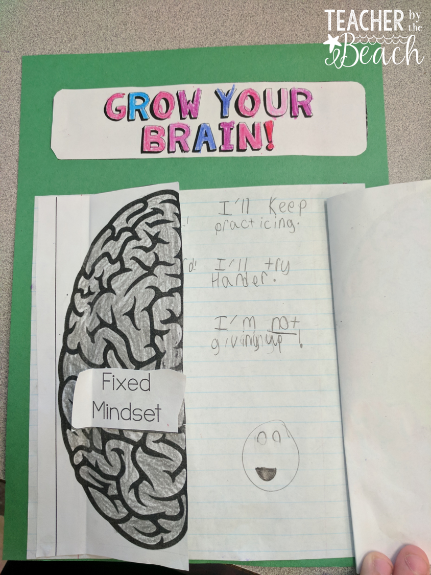 Growth Mindset Unit - Teacher by the Beach