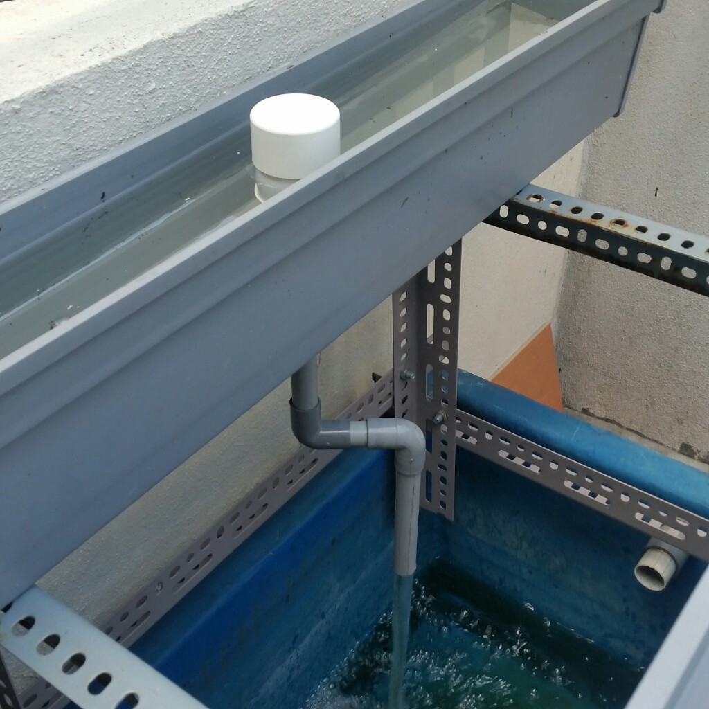 Affnan's Aquaponics: Potted Media Base Gutter Growbed Siphon Flood & Drain.