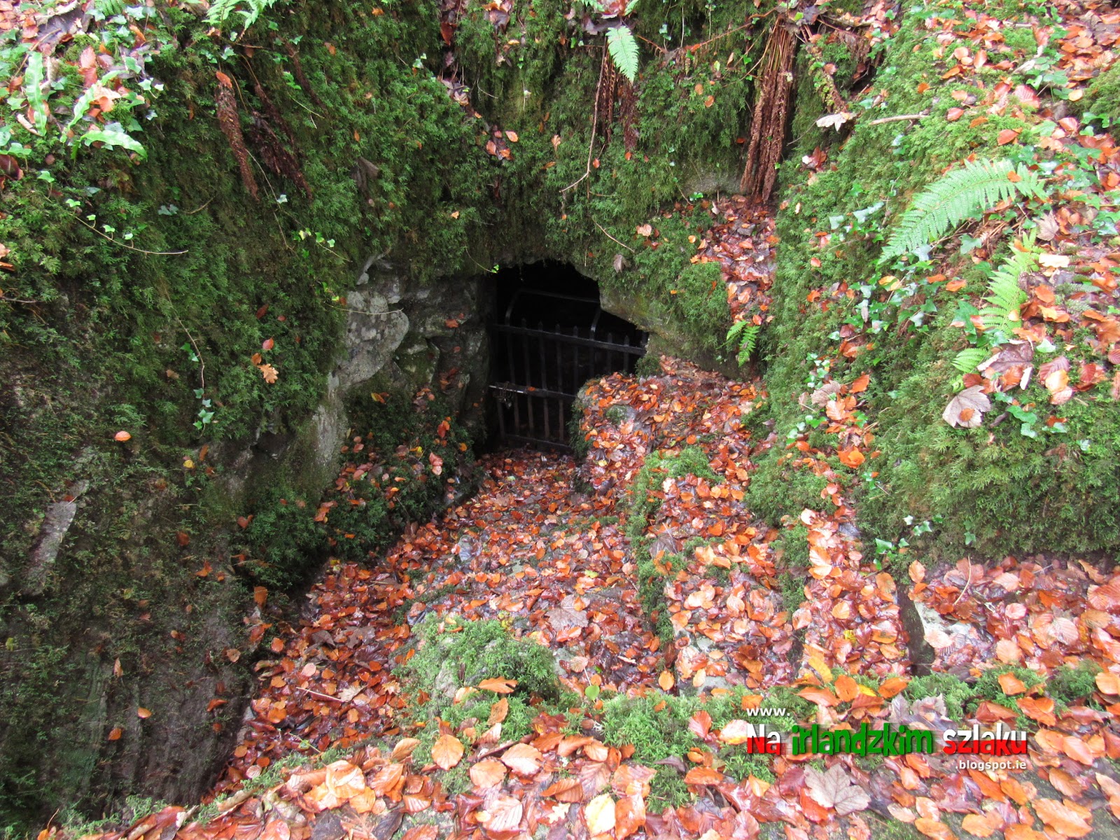 NA IRLANDZKIM SZLAKU - PRZEWODNIK DLA KAŻDEGO: Kelly's Cave, Cong, Co. Mayo