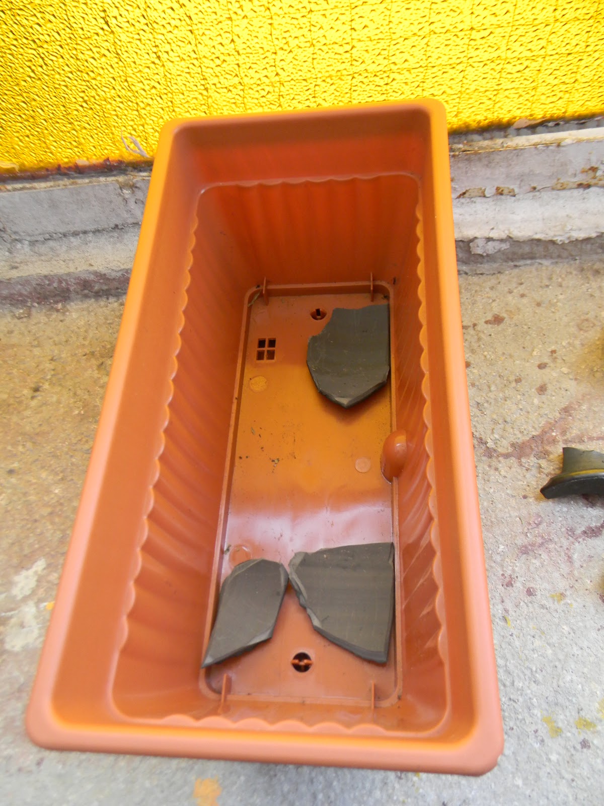 Gradina de pe balcon