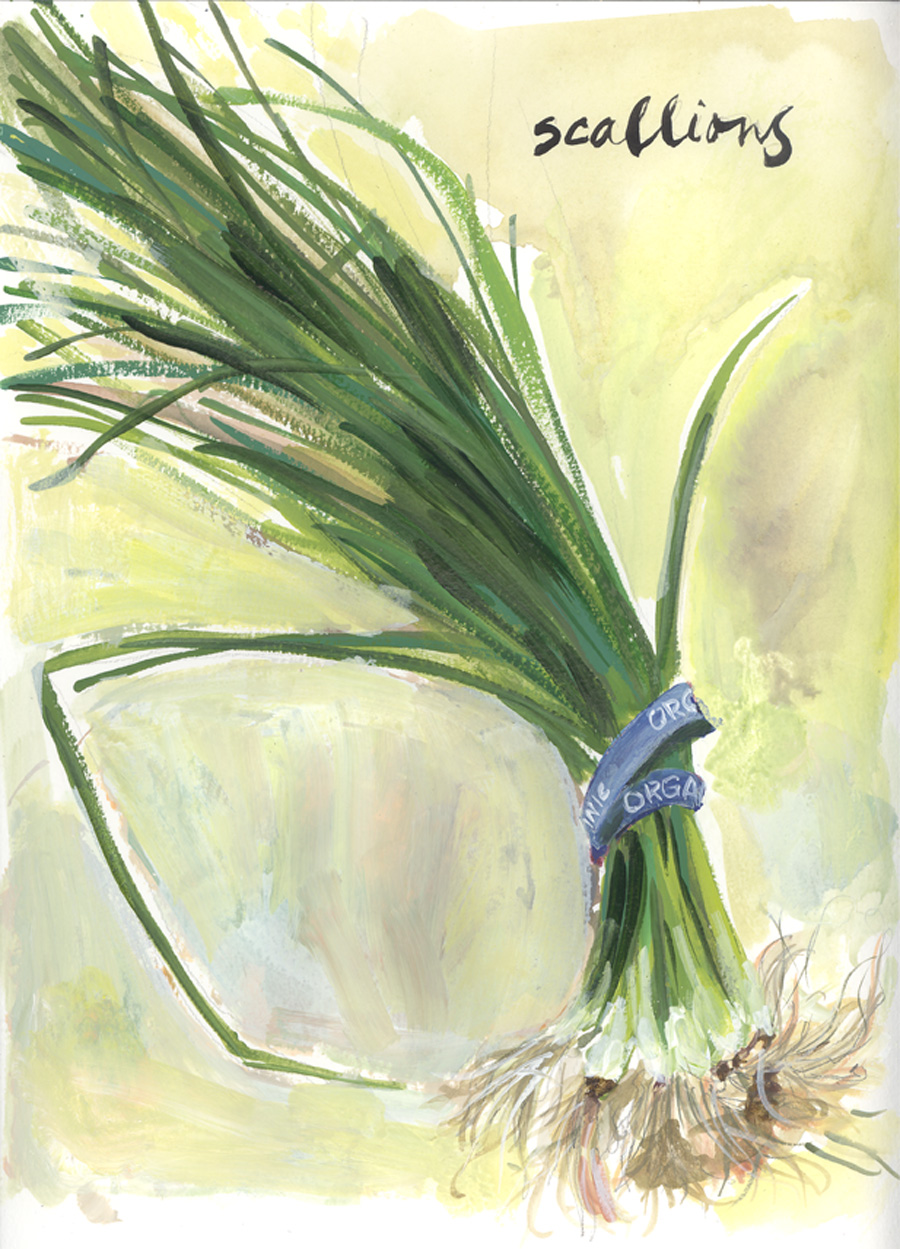August Wren: Scallions. May Painting a Day 11