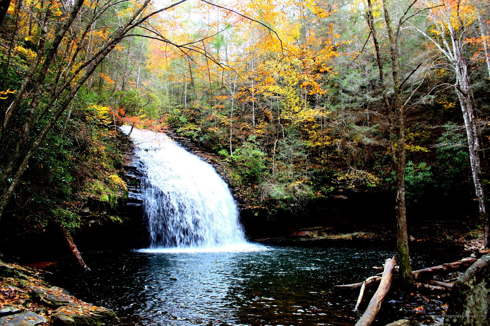Hiking Stinging Fork Falls