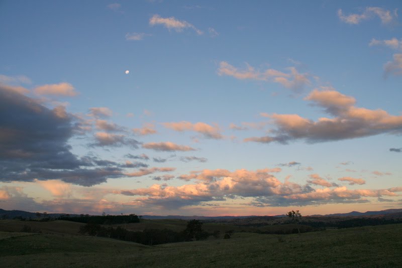 Lilyfield Life: Beautiful Countryside of the Far South Coast