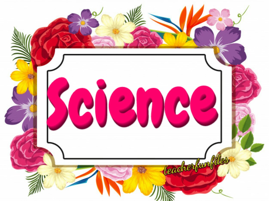 Teacher Fun Files Subject Labels teacher-fun-files-subject-labels